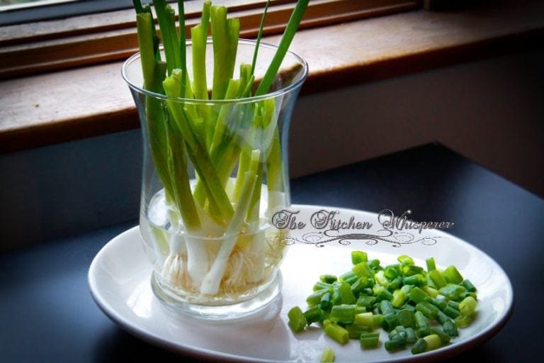 Growing Green Onions in Water - The Kitchen Whisperer