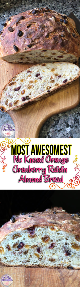 Most Awesomest No Knead Orange Cranberry Raisin Bread - The Kitchen ...