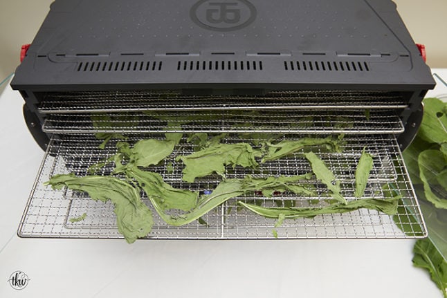 Dehydrated Arugula Flakes