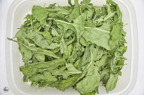 Dehydrated Arugula Flakes