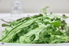 Dehydrated Arugula Flakes