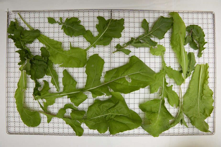 Dehydrated Arugula Flakes