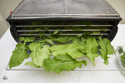 Dehydrated Arugula Flakes