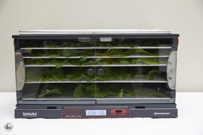 Dehydrated Arugula Flakes