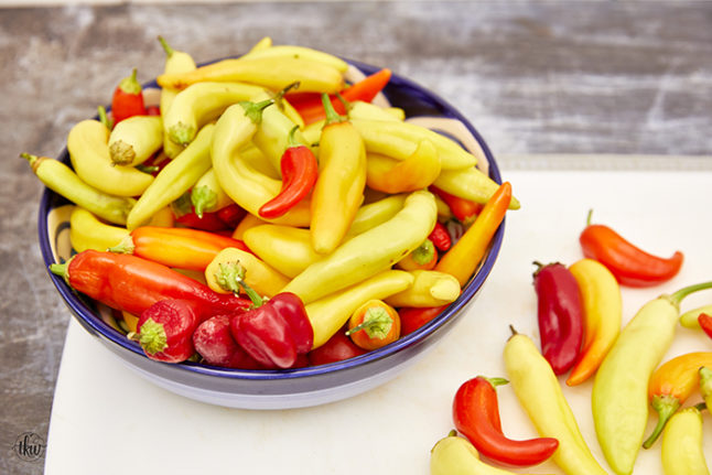 How to dehydrate peppers - The Kitchen Whisperer